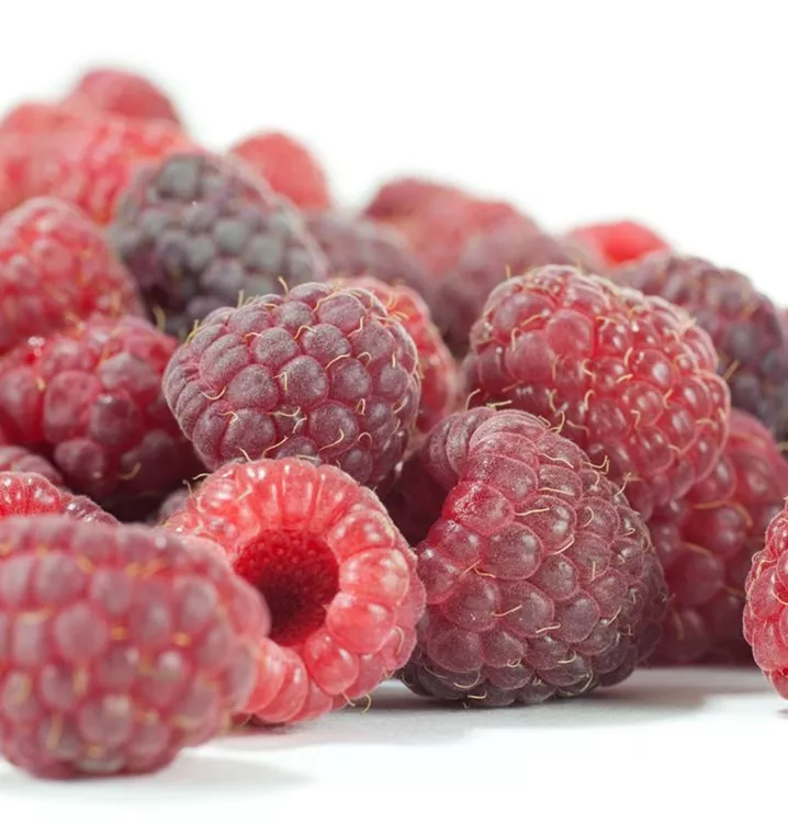 Rubus x neglectus - BAUHAUS E-Business GmbH & Co. KG